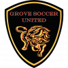Virginia Dream VS Grove Soccer United Match Analysis, H2H Stats and ...
